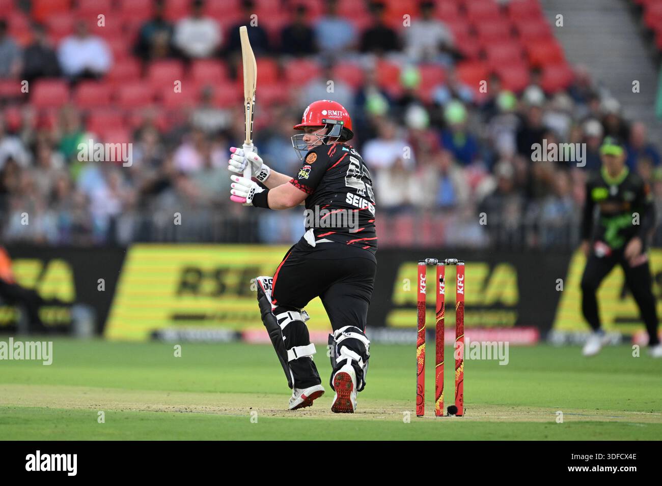 Tim Seifert of the Renegades hits a four during the Big Bash League ...