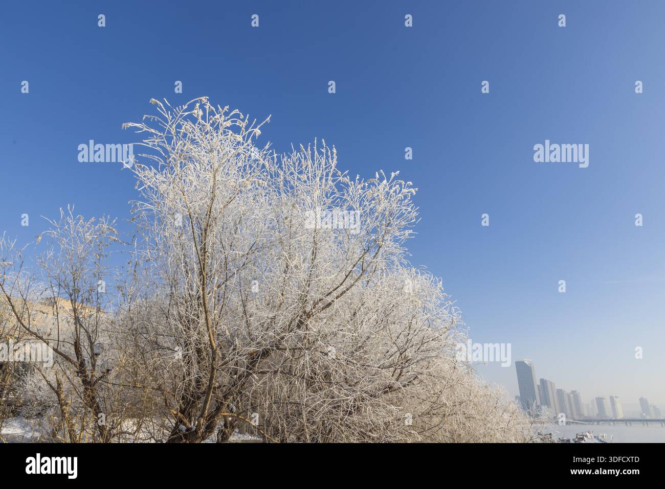 Rime scenery along Songjiang Middle Road in Jilin City, northeast China ...