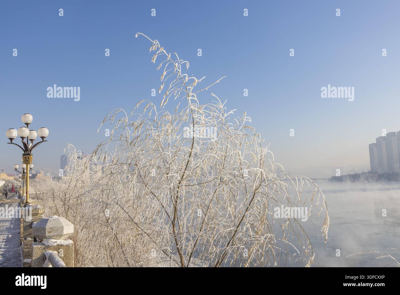 Rime scenery along Songjiang Middle Road in Jilin City, northeast China ...