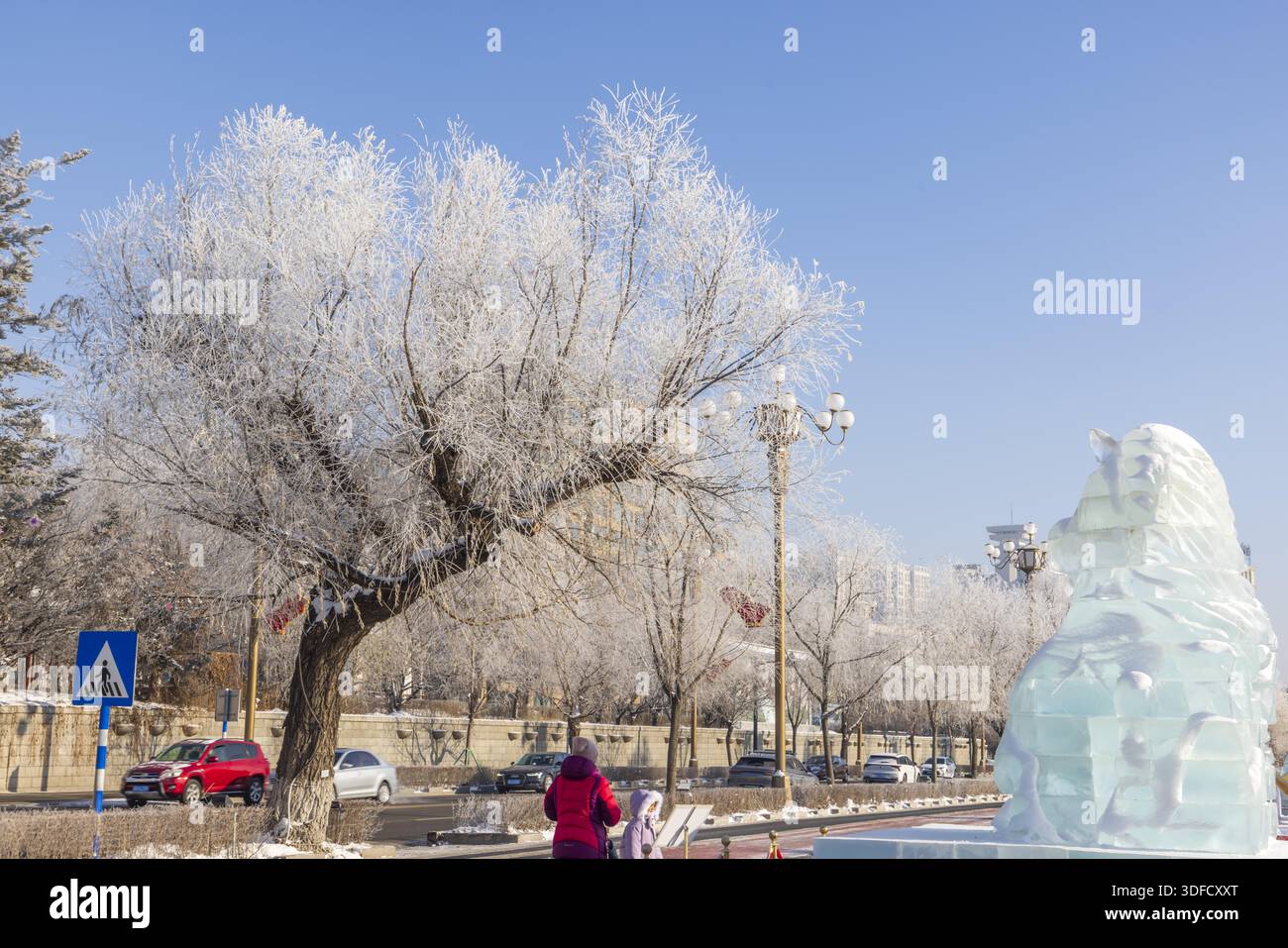Rime scenery along Songjiang Middle Road in Jilin City, northeast China ...