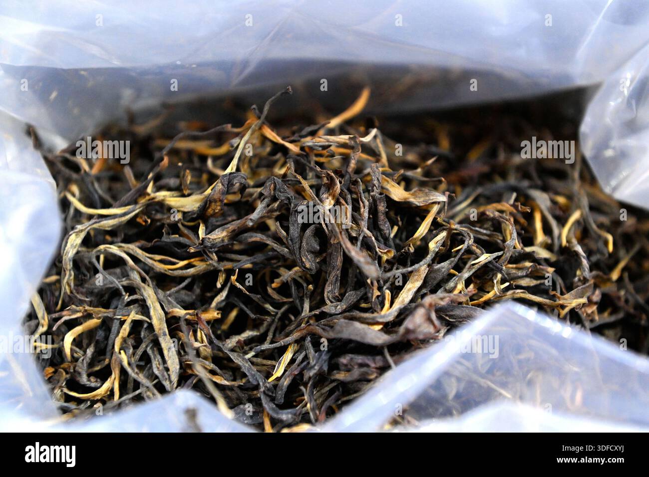 The 12th Qingdao International Tea Industry Expo opens in Qingdao City ...