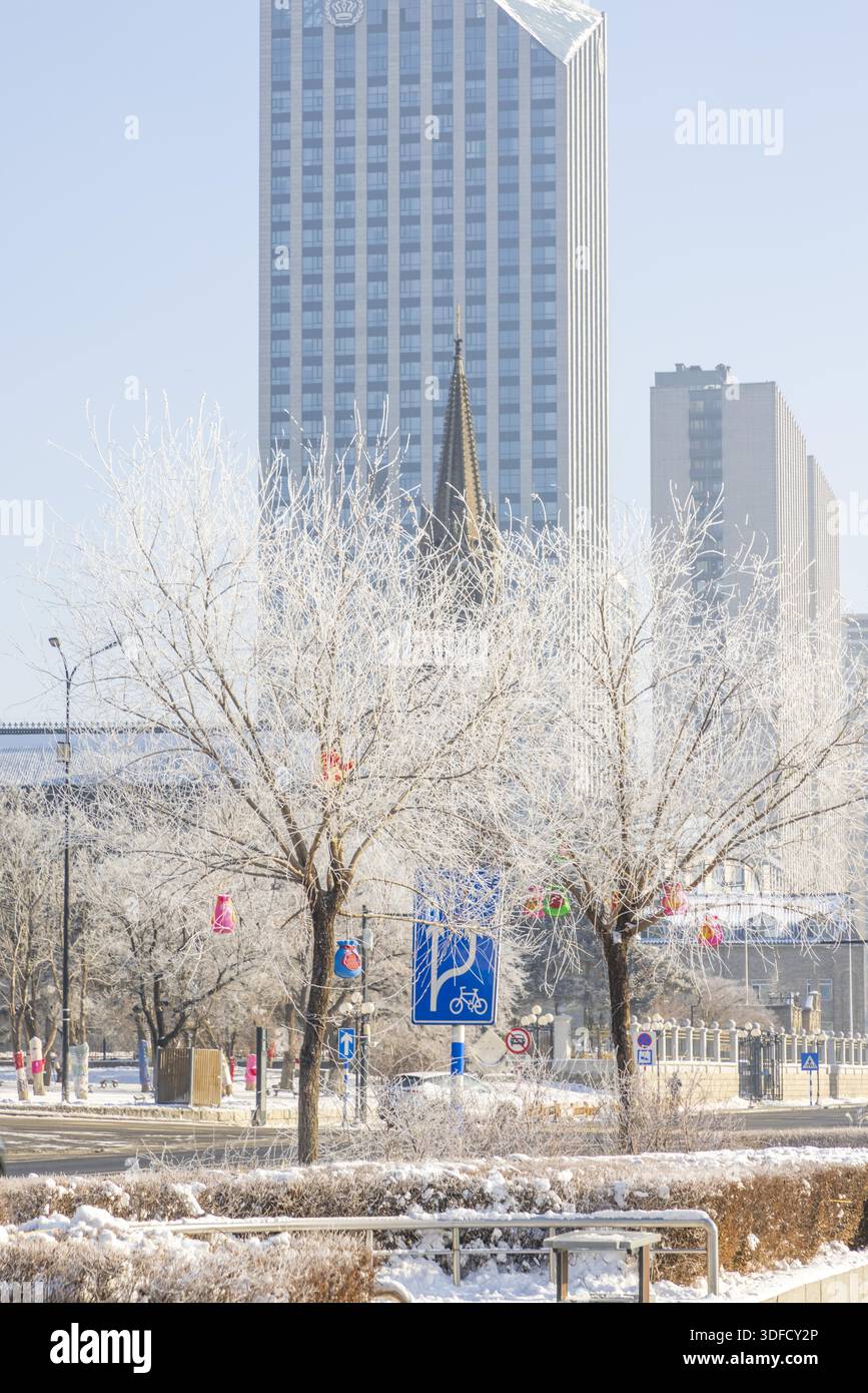 Rime scenery along Songjiang Middle Road in Jilin City, northeast China ...