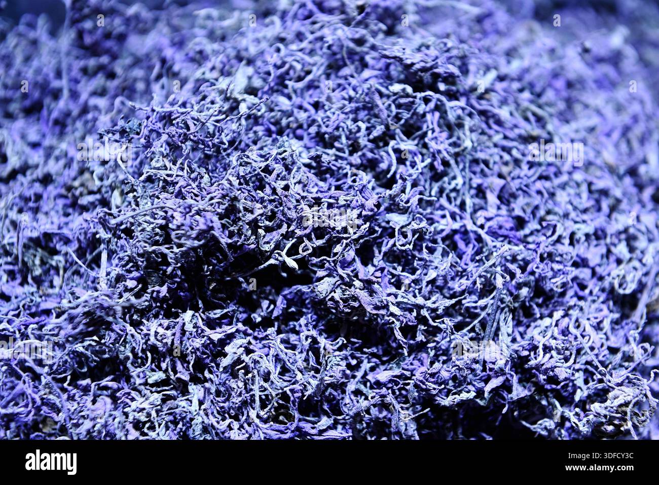 The 12th Qingdao International Tea Industry Expo opens in Qingdao City ...