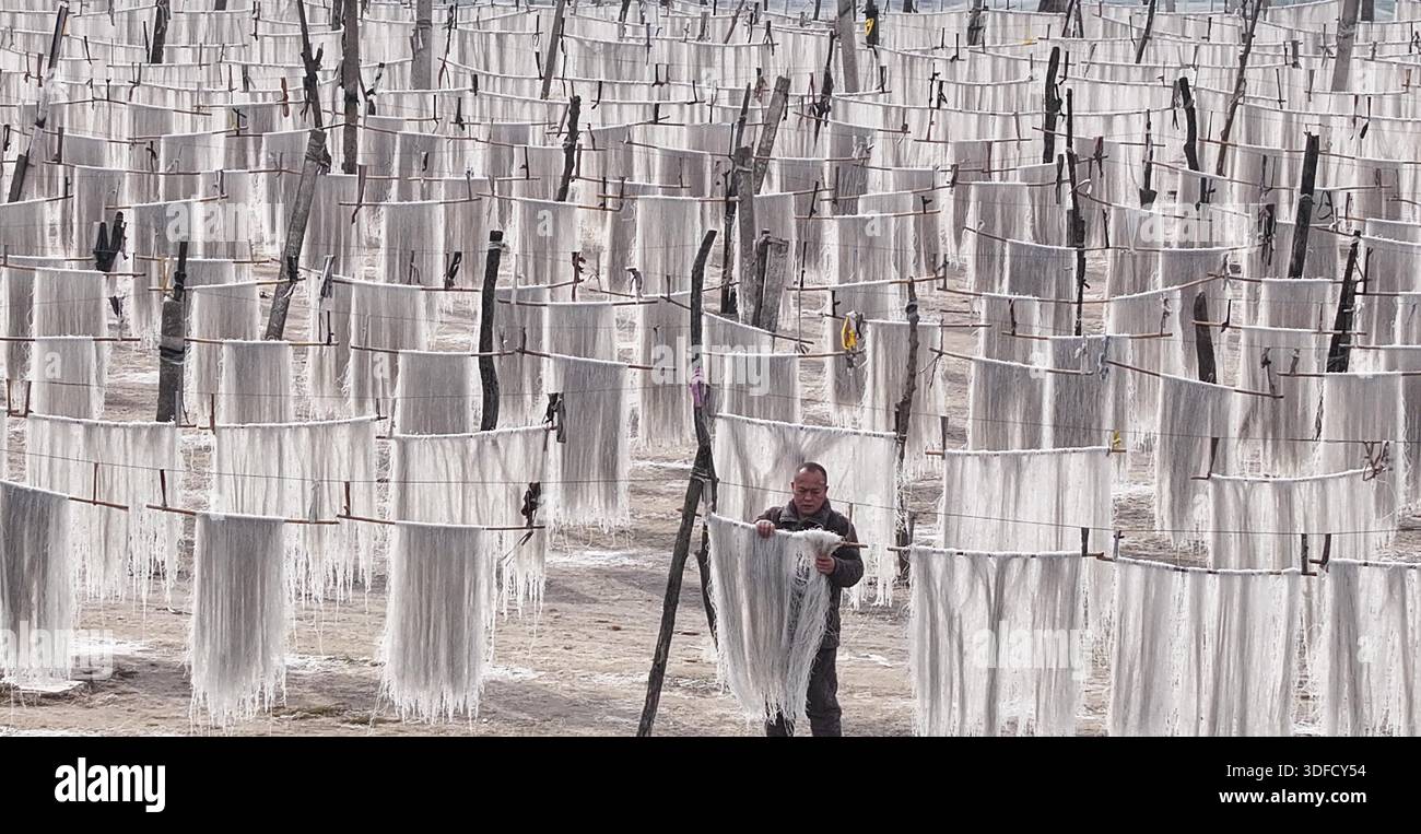 Villagers process sweet potato noodles in Meichang Village, Nanchenji ...