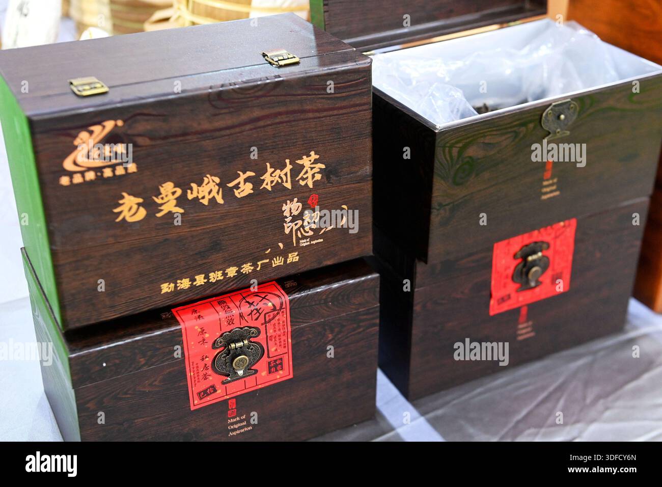 The 12th Qingdao International Tea Industry Expo opens in Qingdao City ...