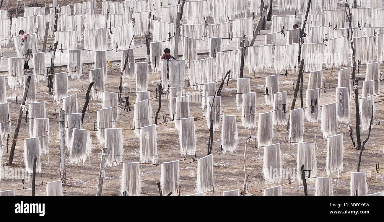 Villagers process sweet potato noodles in Meichang Village, Nanchenji ...