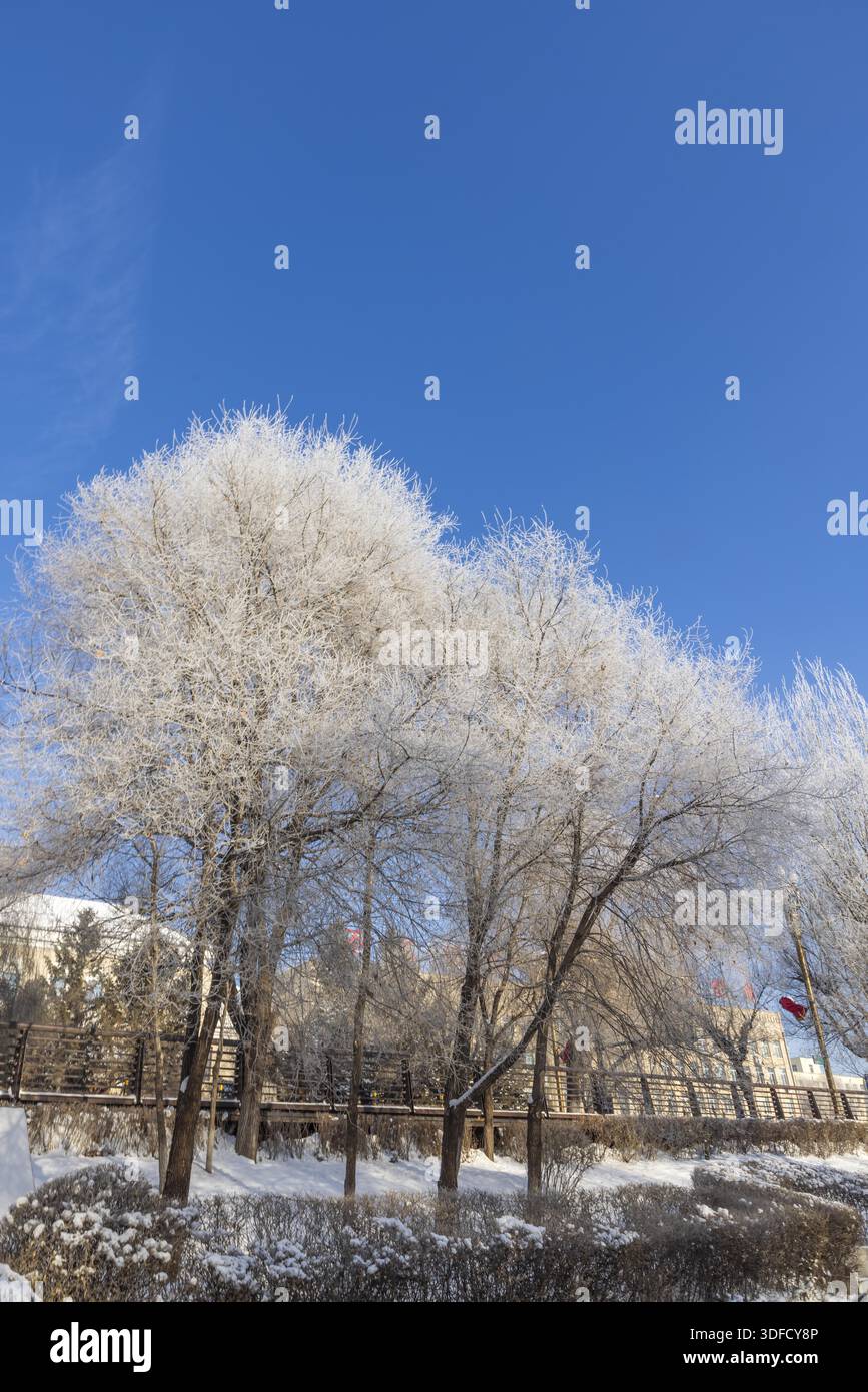 Rime scenery along Songjiang Middle Road in Jilin City, northeast China ...