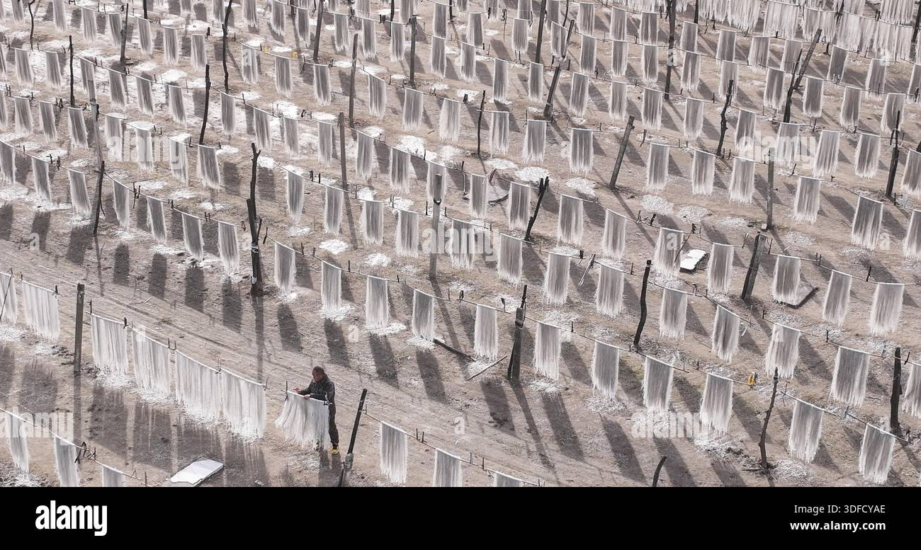 Villagers process sweet potato noodles in Meichang Village, Nanchenji ...