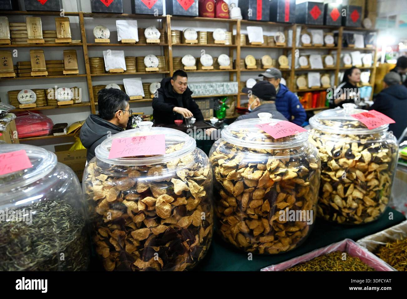 The 12th Qingdao International Tea Industry Expo opens in Qingdao City ...