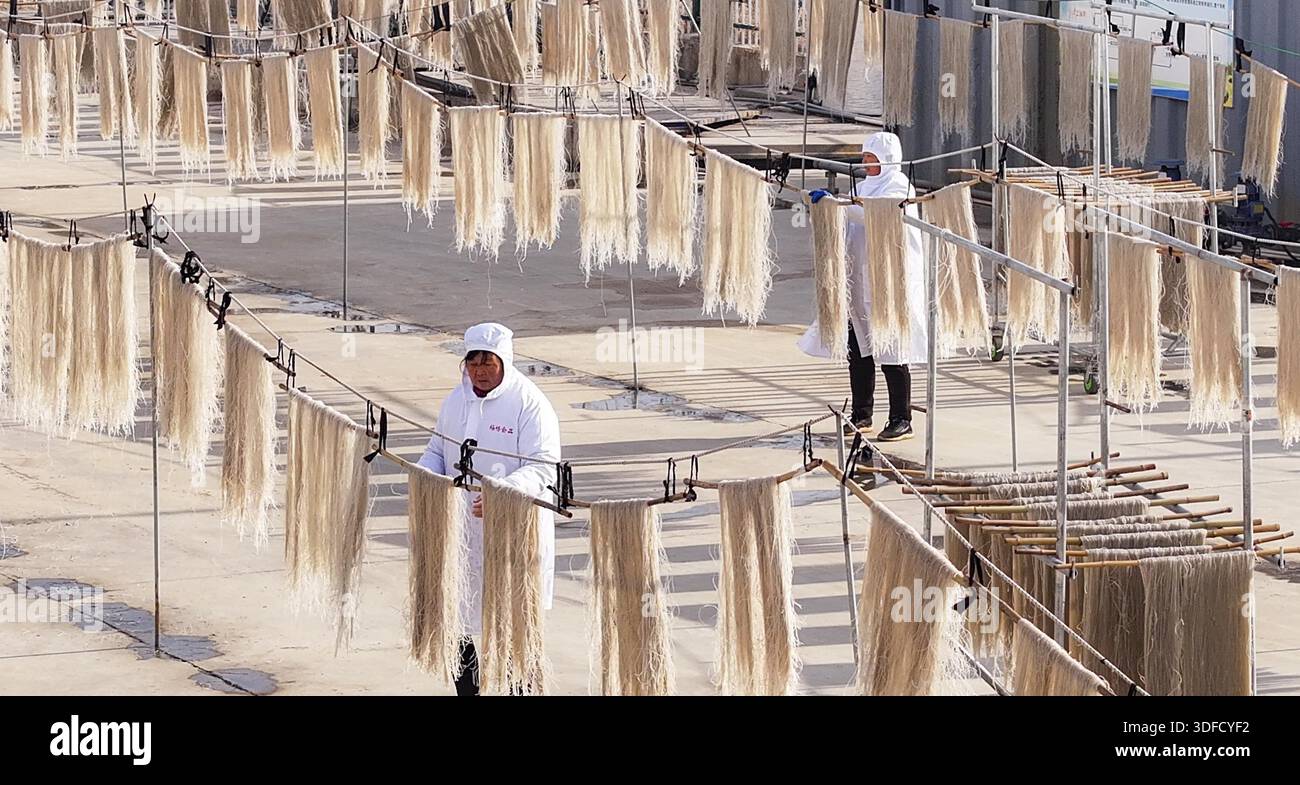 Villagers process sweet potato noodles in Meichang Village, Nanchenji ...