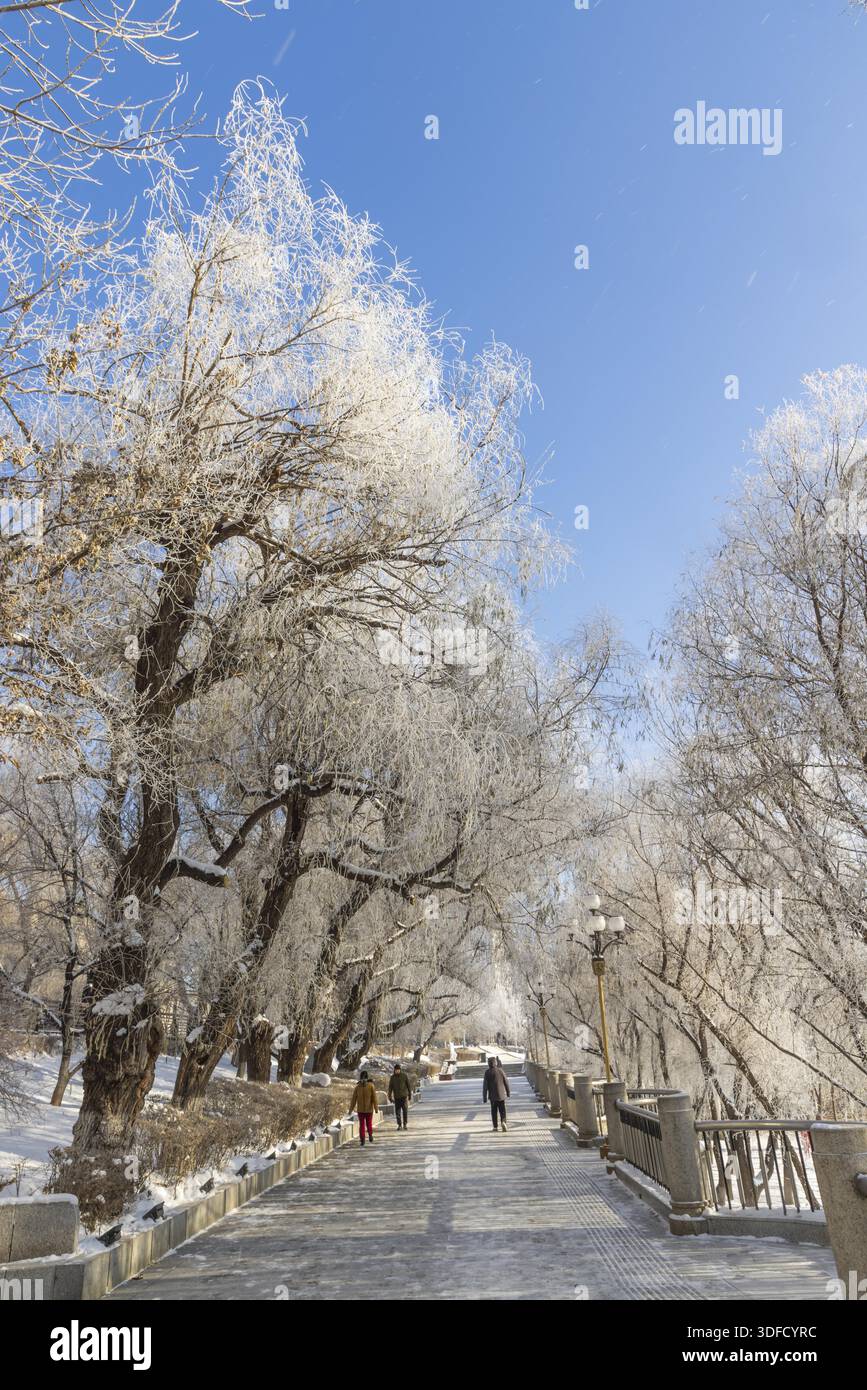 Rime scenery along Songjiang Middle Road in Jilin City, northeast China ...