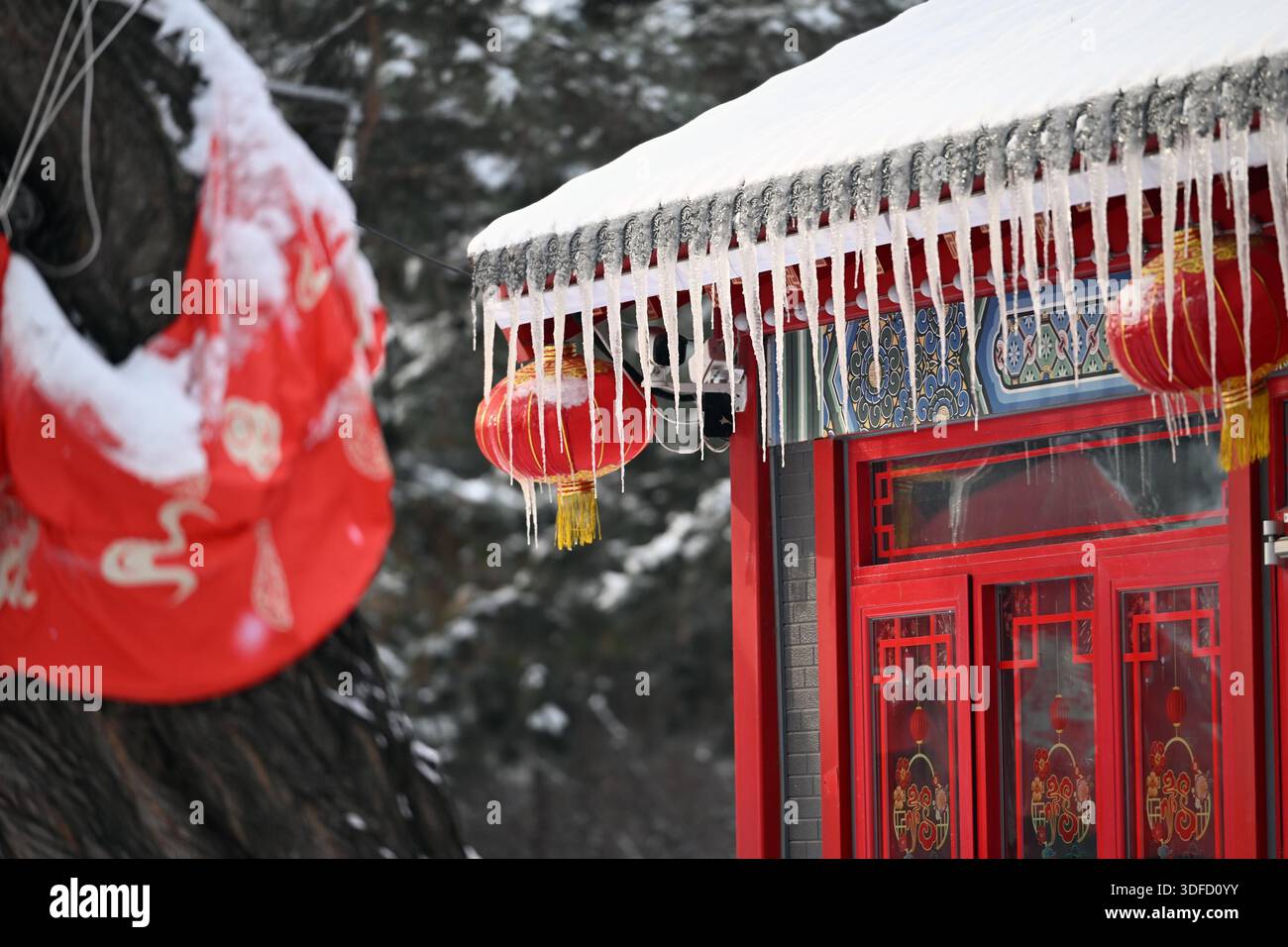Citizens enjoy snow-covered scenery in Shenyang City, northeast China's ...
