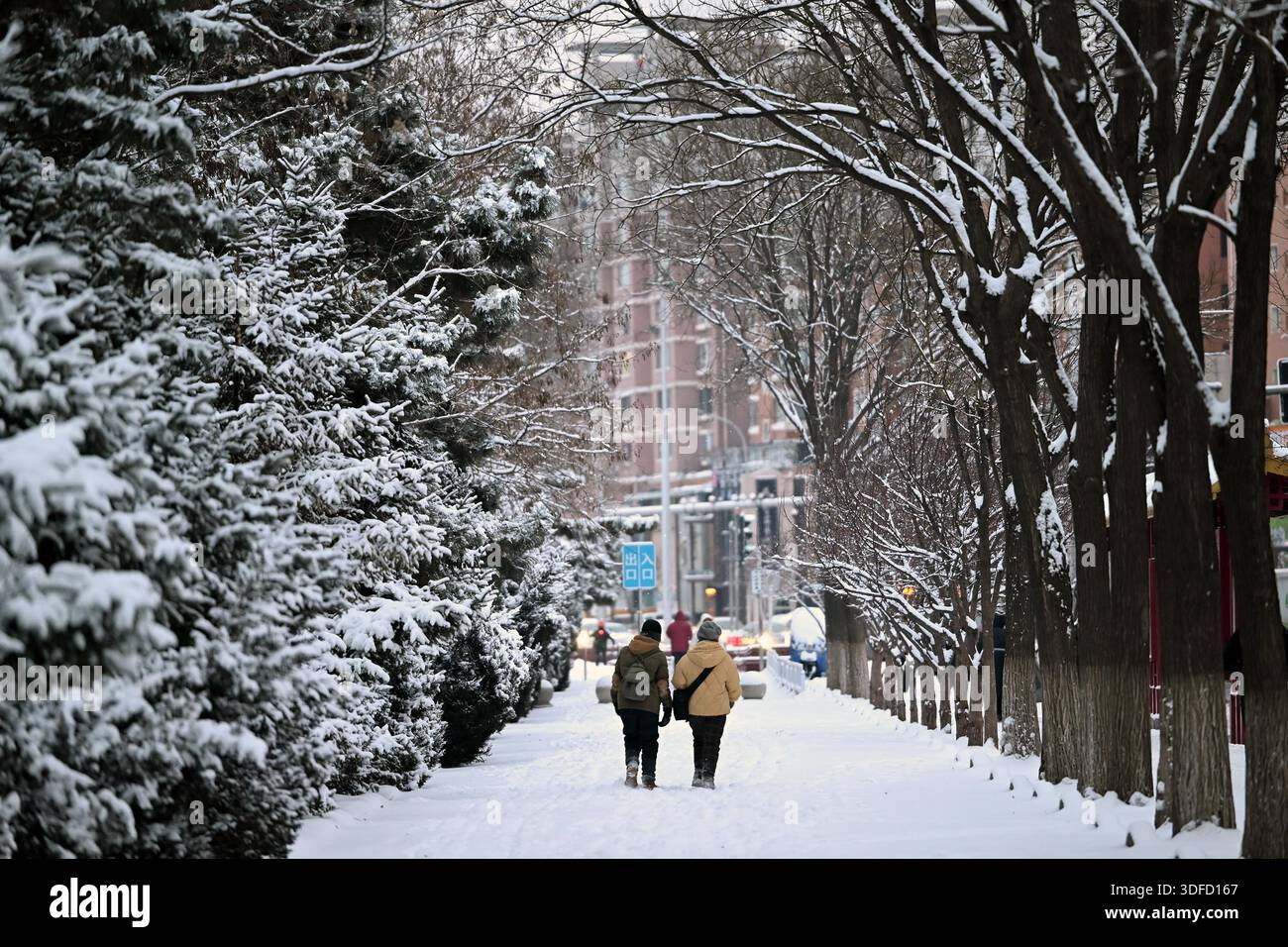 Citizens enjoy snow-covered scenery in Shenyang City, northeast China's ...