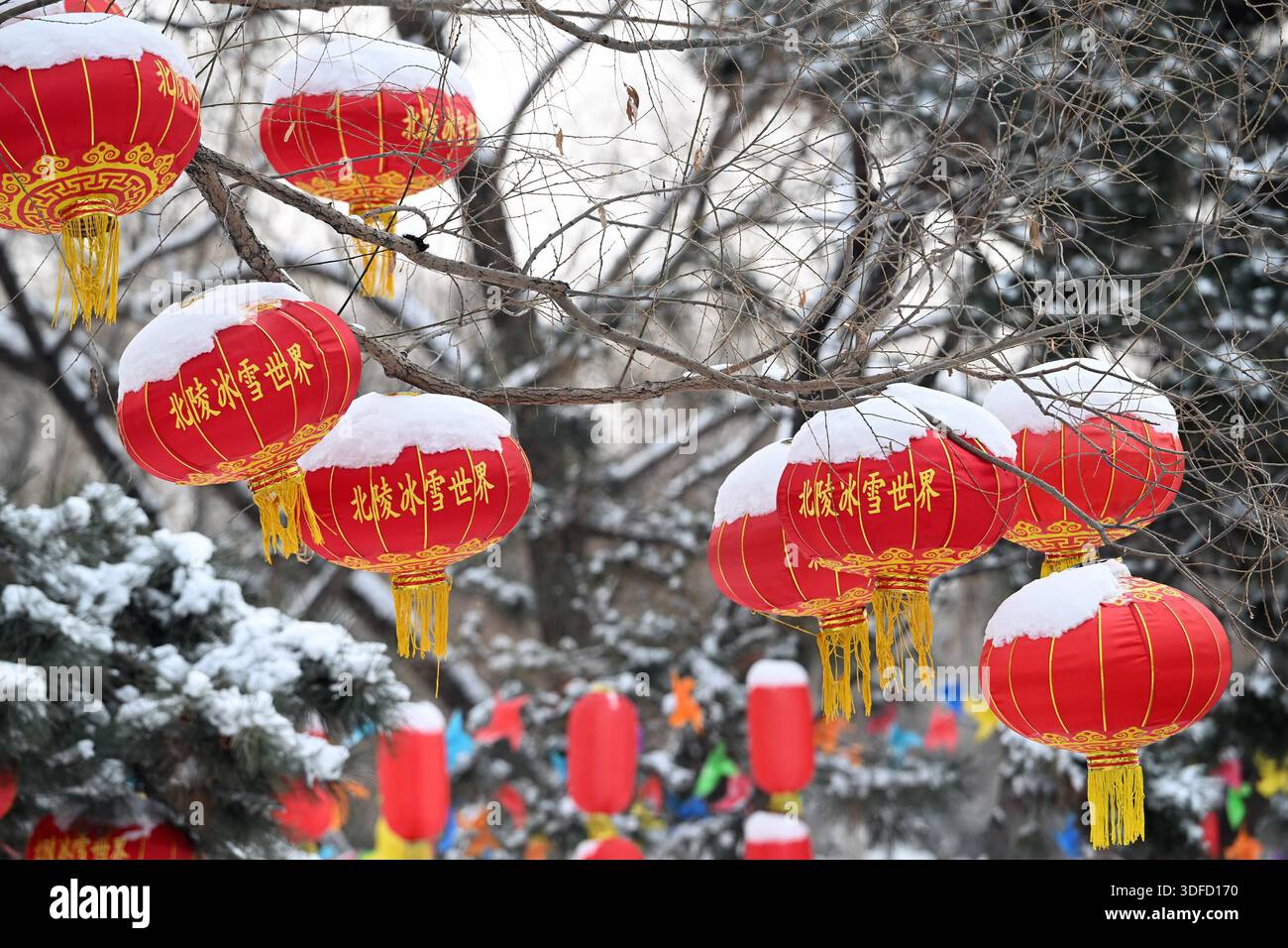 Citizens enjoy snow-covered scenery in Shenyang City, northeast China's ...