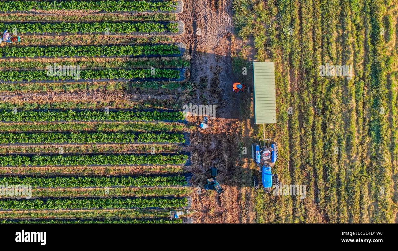 Drone captures overhead perspective hi-res stock photography and images ...