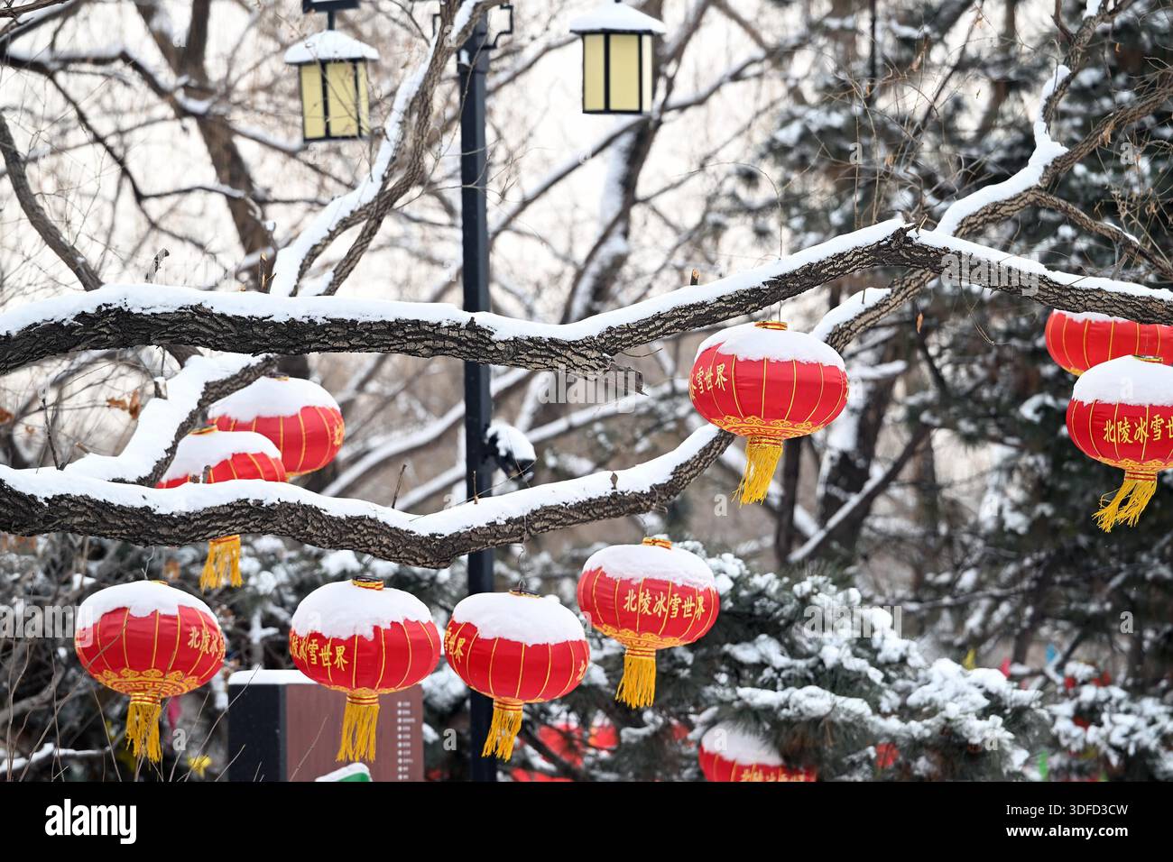 Citizens enjoy snow-covered scenery in Shenyang City, northeast China's ...