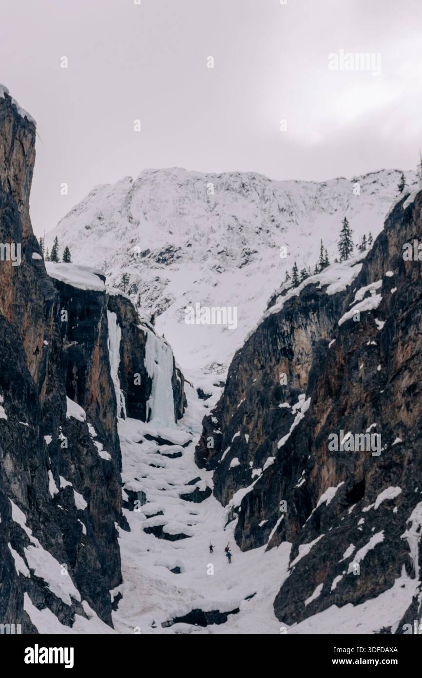 Skiers walk down a steep ravine in the Northern Rockies in British ...