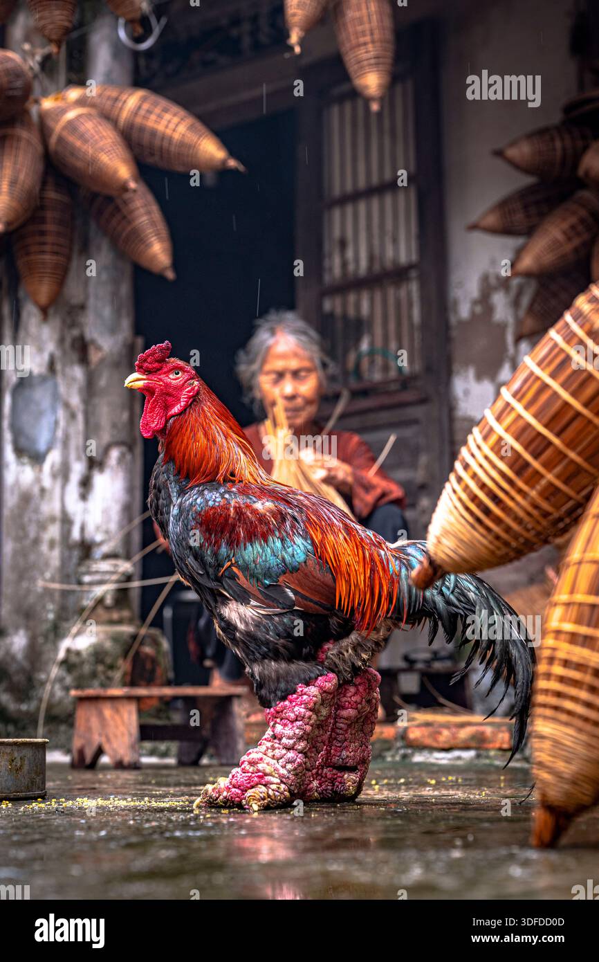 Making fishing traps hi-res stock photography and images - Alamy
