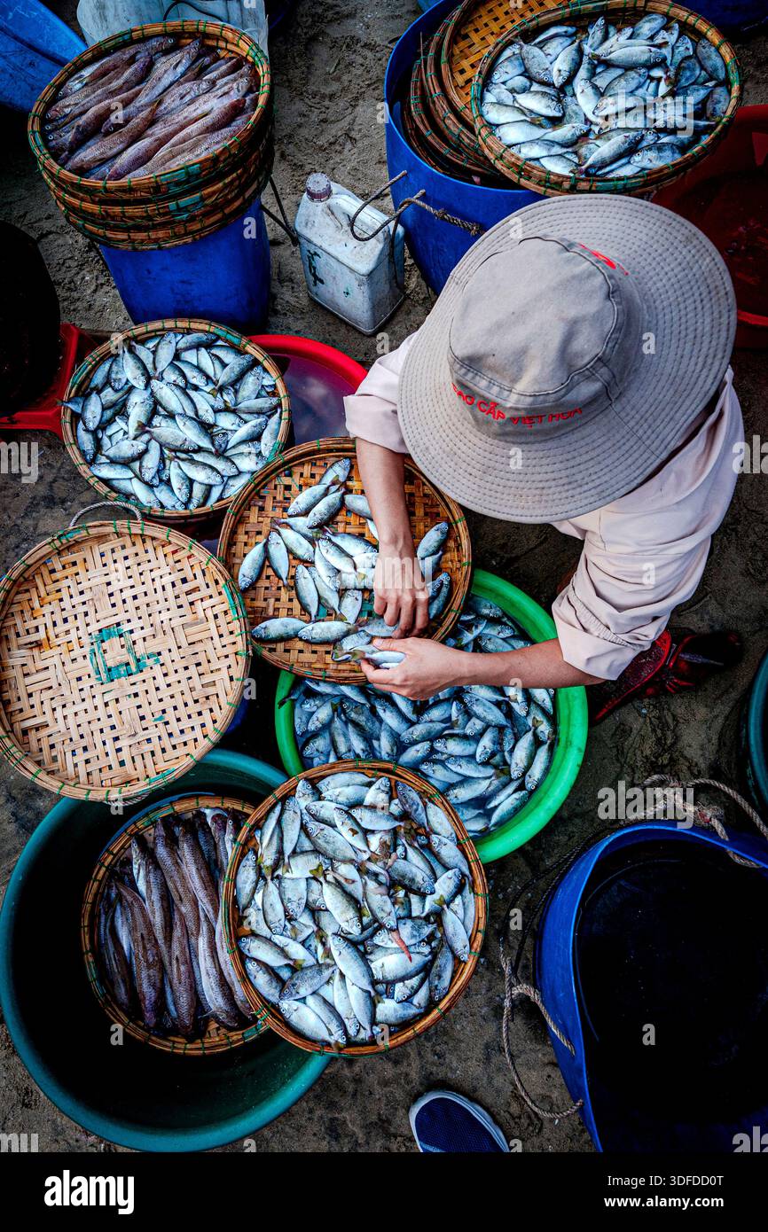 Worker with fresh fish, Tam Tien Fish Market Stock Photo - Alamy