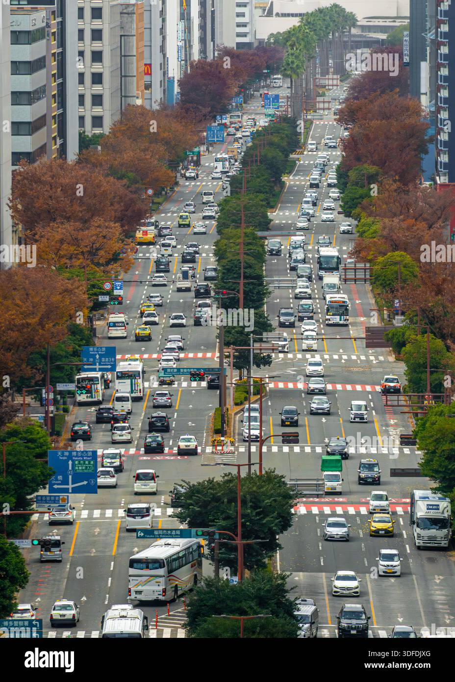 Taihaku dori avenue hi-res stock photography and images - Alamy