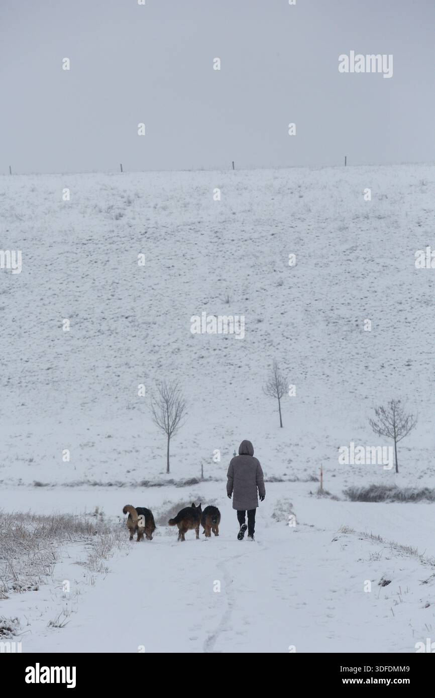 A woman takes her dogs for a walk near Coburg, Germany after a night of ...