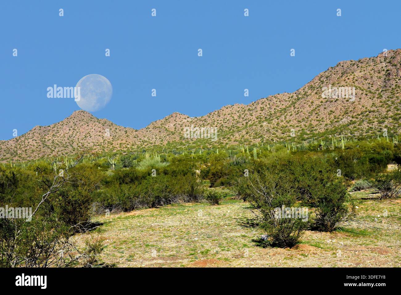 The Vast Sonora desert with moon rising over San Tan mountains in ...