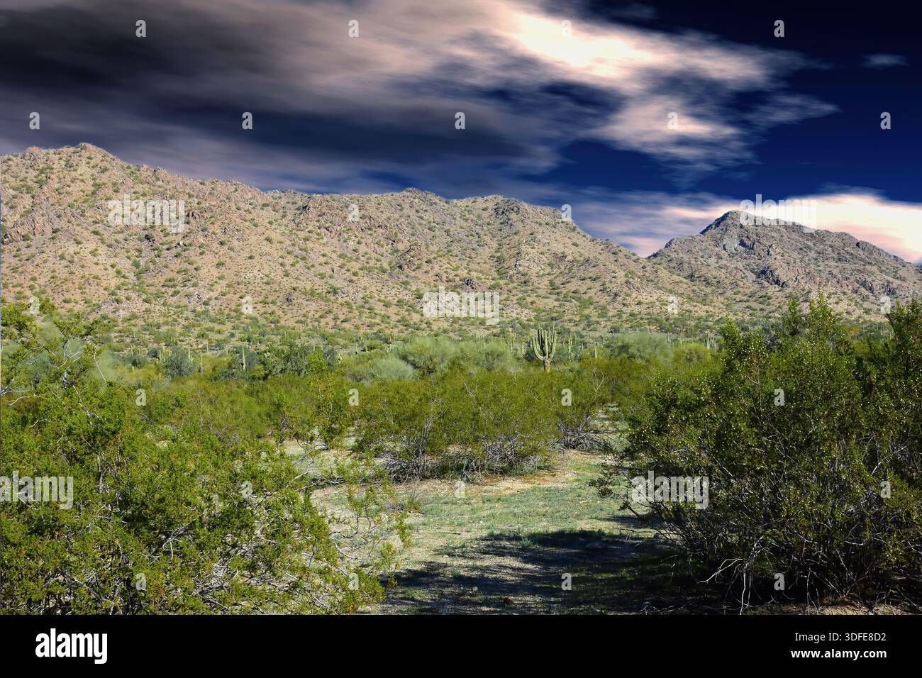 Winter The Vast Sonoran desert San Tan mountains in central Arizona USA ...
