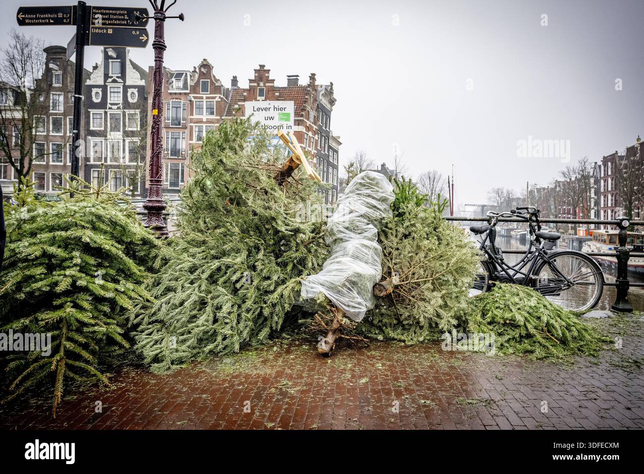 AMSTERDAM - Christmas trees in the household waste ROBIN UTRECHT /ANP ...