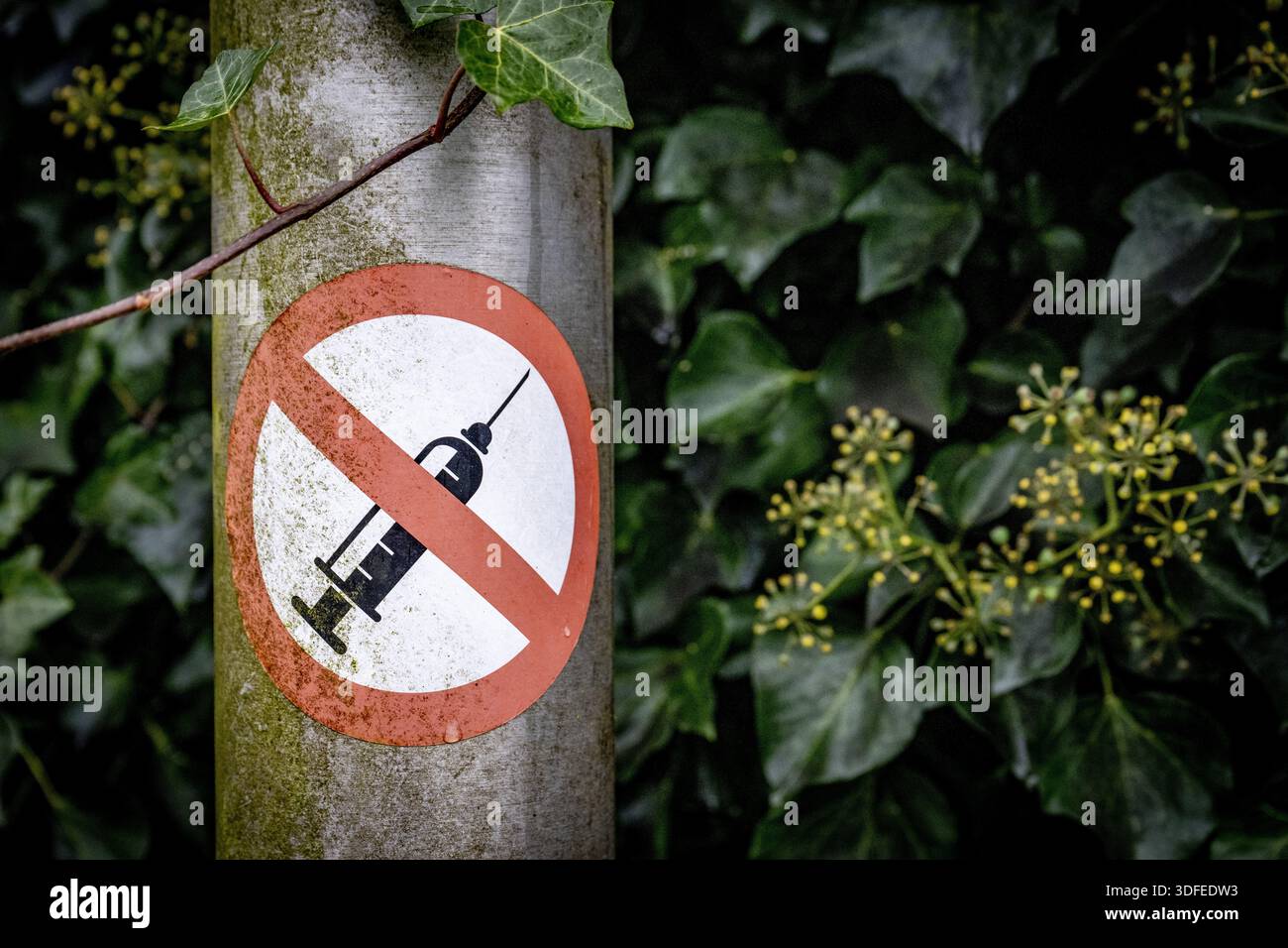 HAARLEM - Anti-drug use sticker ROBIN UTRECHT /ANP netherlands out ...