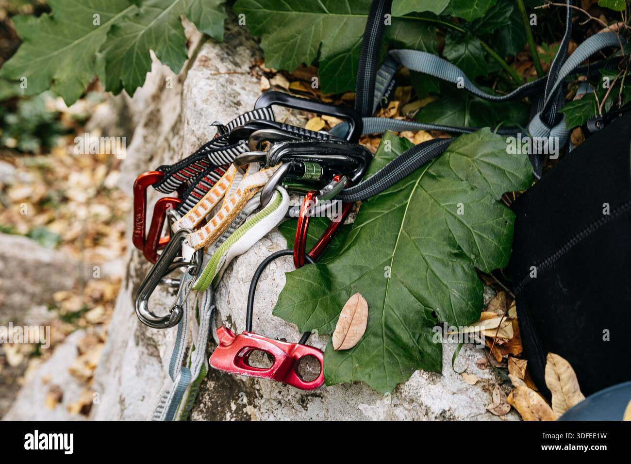 Traditional Rock Climbing Gear With Tube On Rock Surface: Quick Draws ...