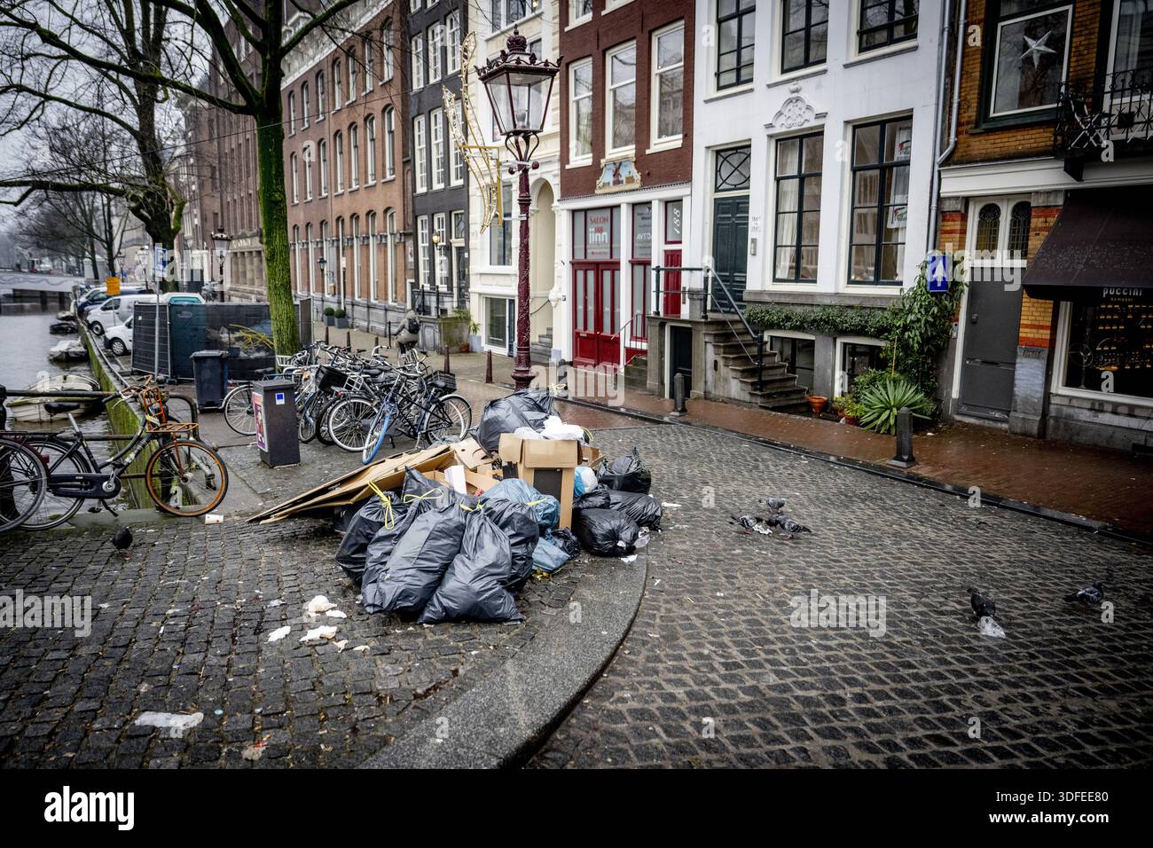 AMSTERDAM - Garbage bags in a residential area with separated waste in ...