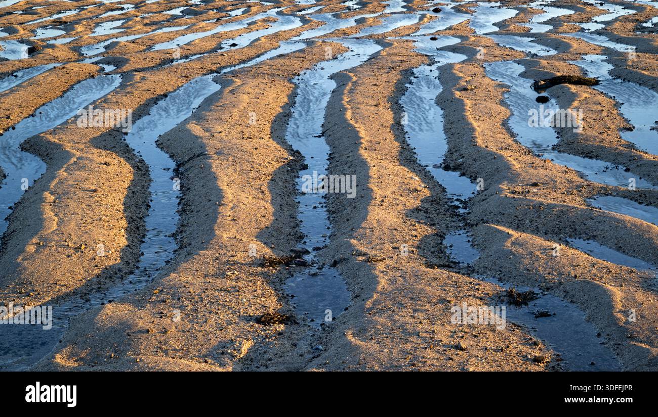 Tidal pattern on the shoreline of the Atlantic Ocean. January in Acadia ...