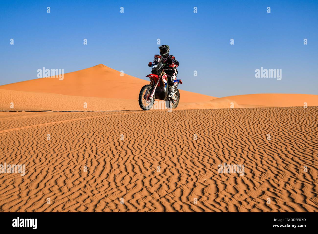 84 VENTURA Martim (por), Honda HRC Junior Team, Honda, Rallye 2, FIM ...