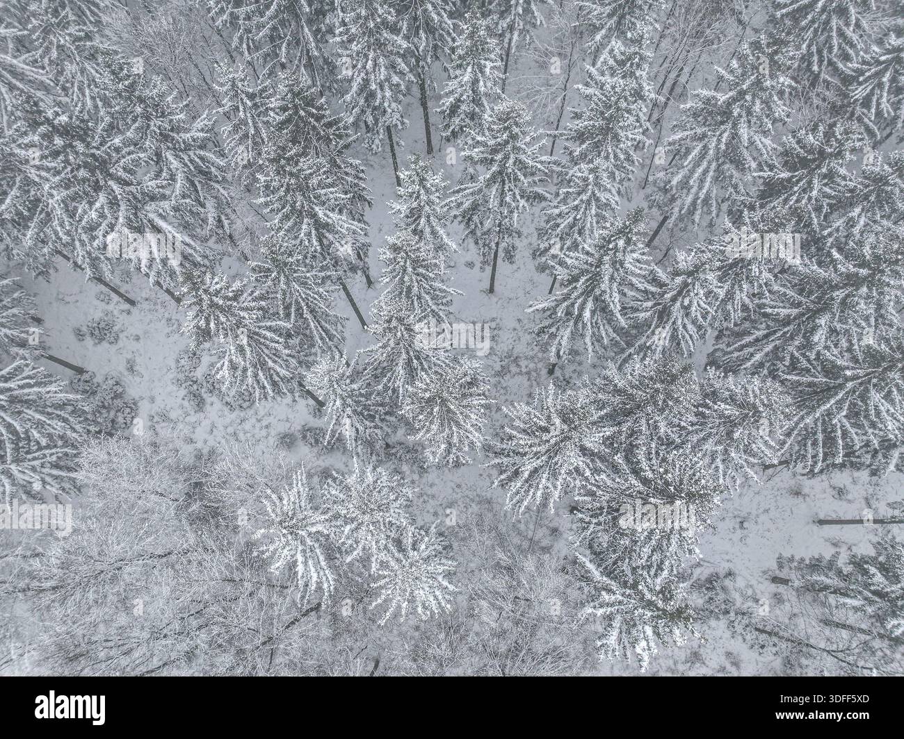 12 January 2026, Baden-Württemberg, Aalen: Snow-covered forests and ...