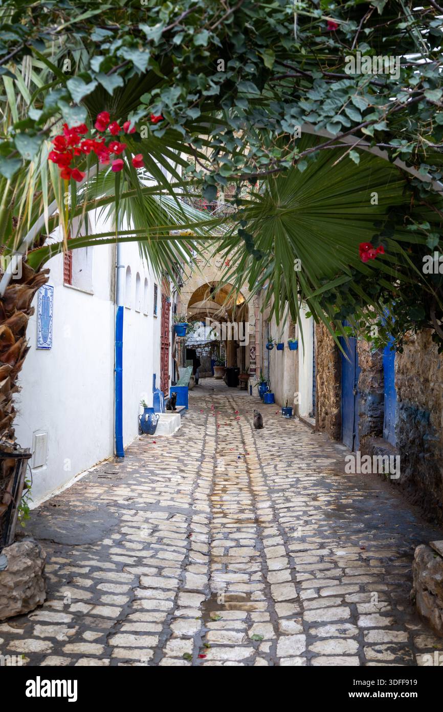 Winding alleys, narrow streets of the historical city centre - medina ...