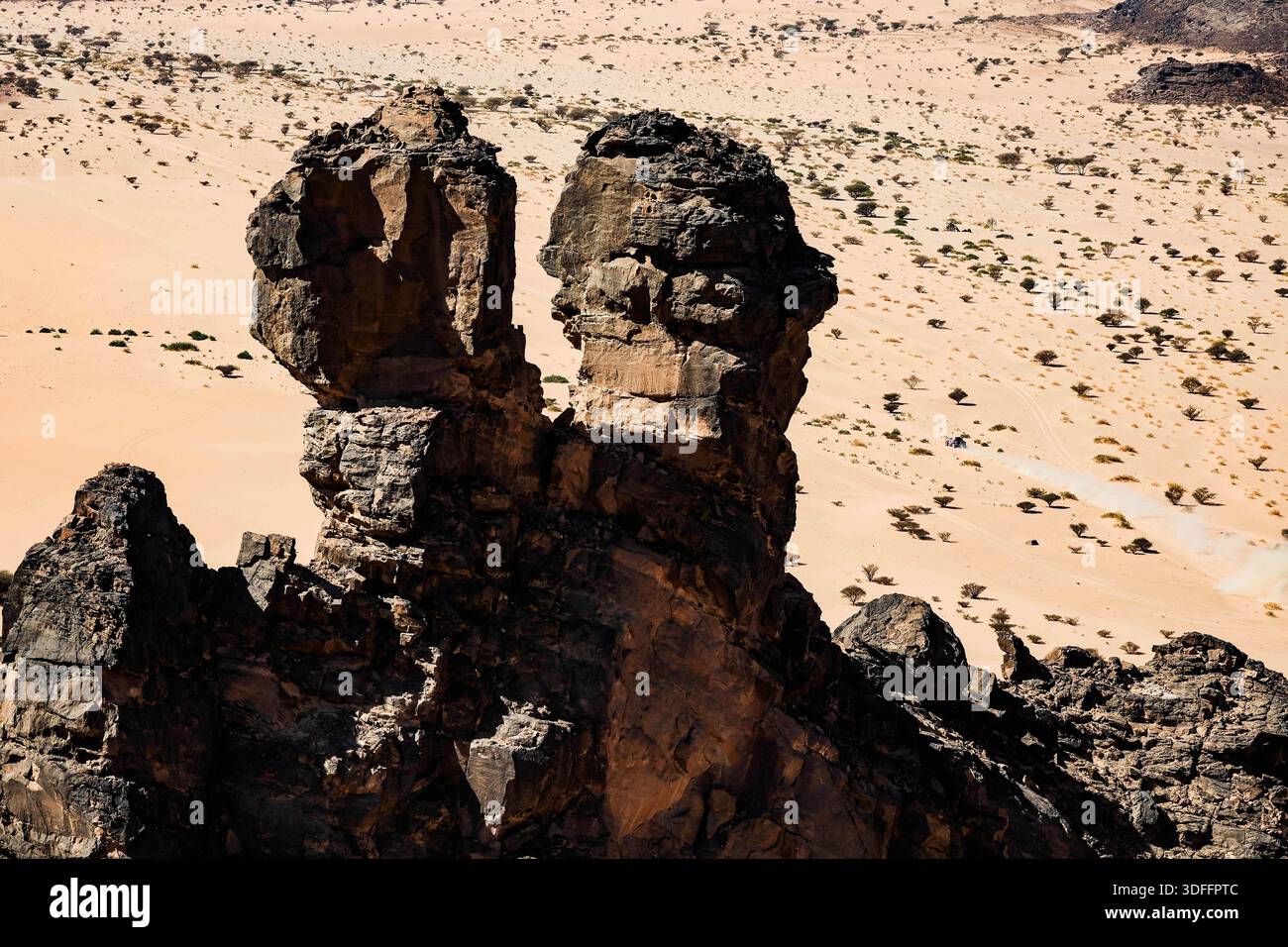 12th January 2026; Riyadh, Saudi Arabia; 2026 Dakar Rally, Stage Eight ...