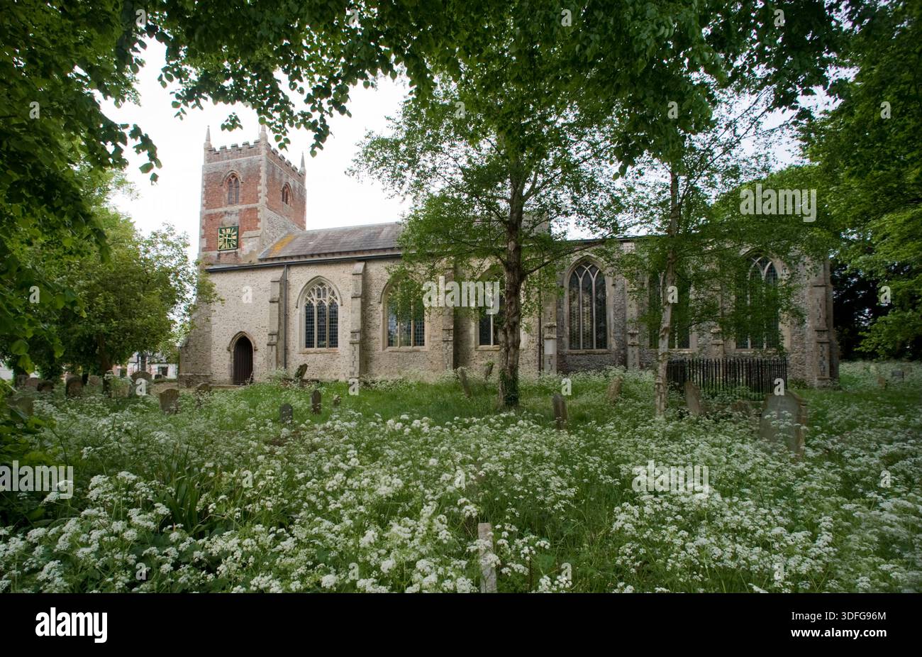 All Saints Church in Litcham, Norfolk, is a stunning Grade I listed ...