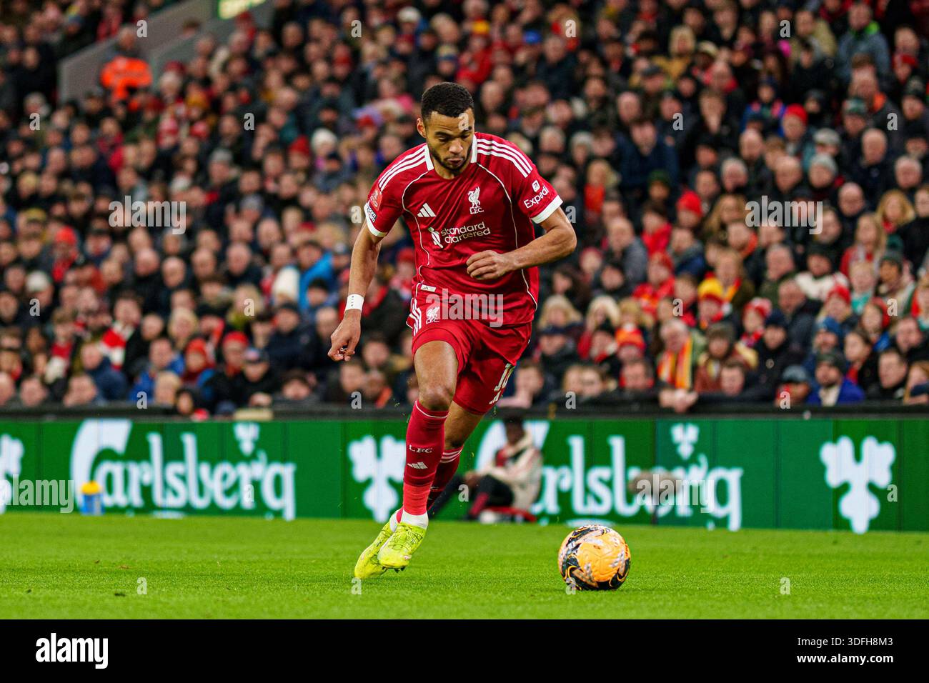 Liverpool's Cody Gakpo in action during the Emirates FA Cup Third Round ...