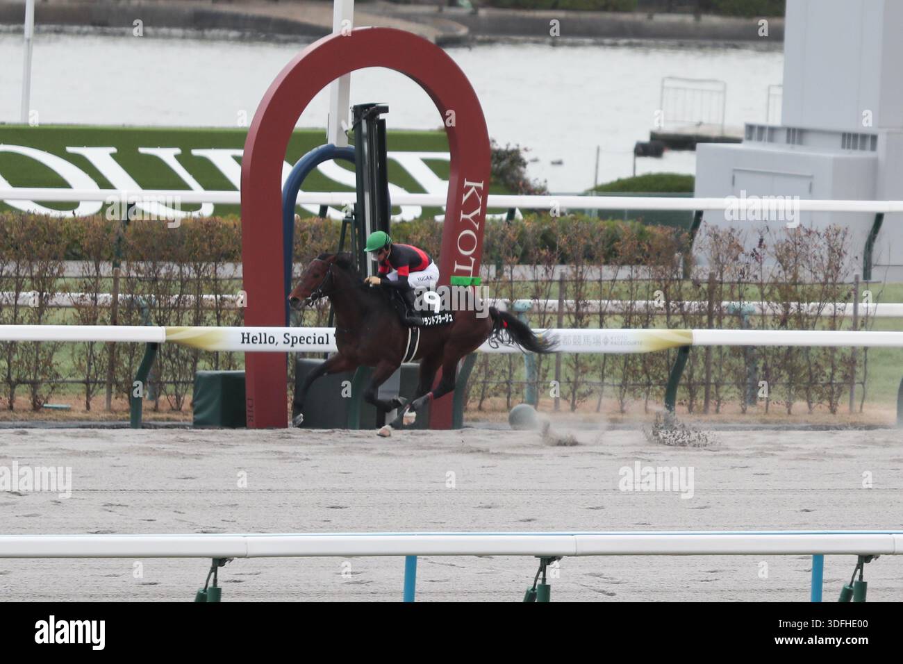 2026/01/04 KYOTO 09R 2 AMAGASE TOKUBETSU / 1 / Grande Plage / Yuga Kawada Jockey Kyoto ...
