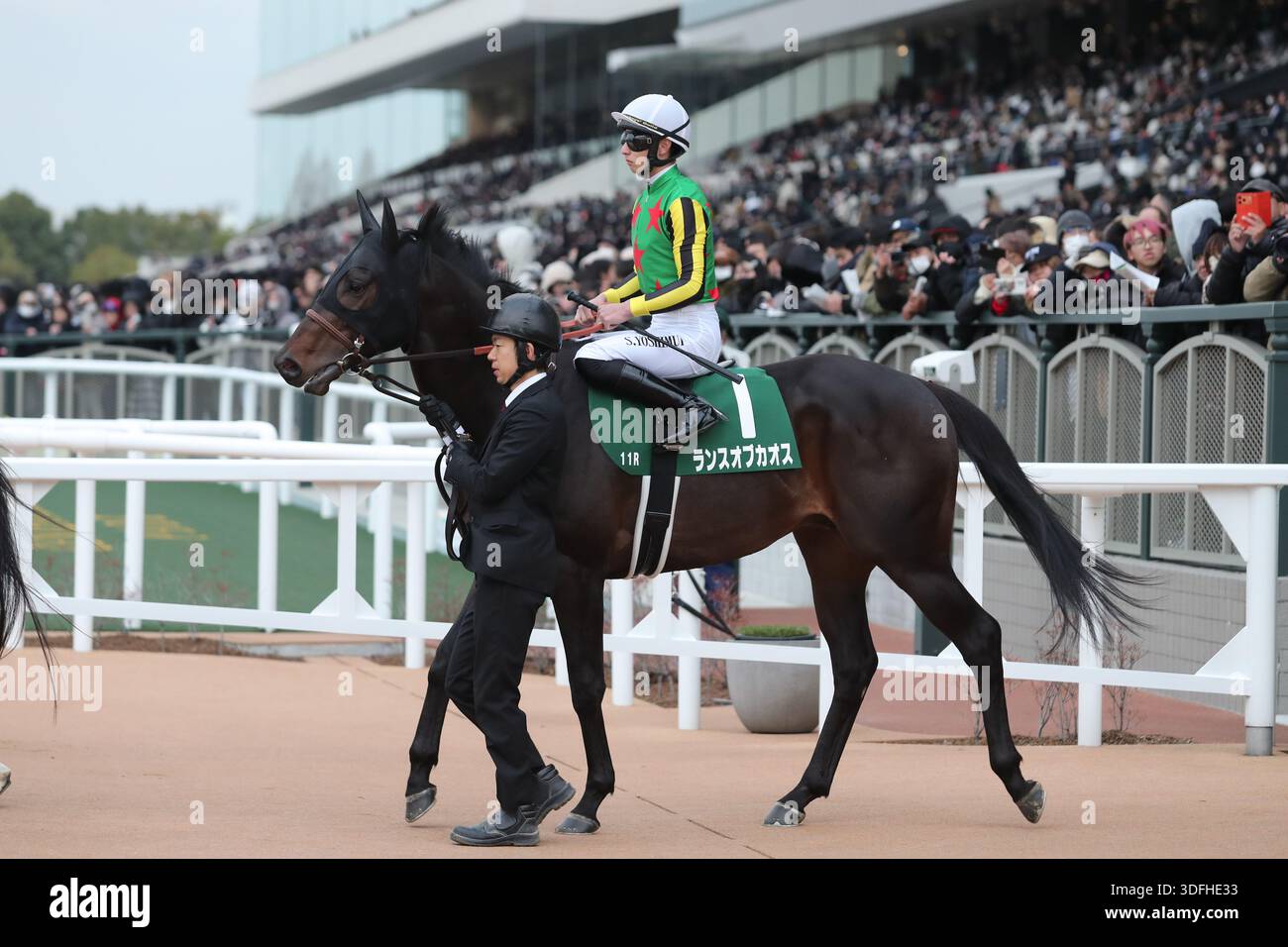 2026/01/04 KYOTO 11R THE SPORTS NIPPON SHO KYOTO KIMPAI 5 / 1 / Lance ...