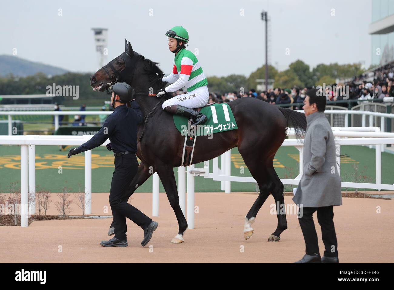 2026/01/04 KYOTO 11R THE SPORTS NIPPON SHO KYOTO KIMPAI 2 / 5 / Fervent / Kohei Matsuyama Jockey ...