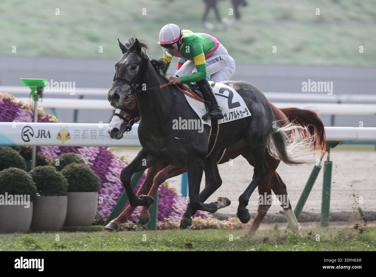 2026/01/05 KYOTO 05R / 1 / Tagano Altura / Seinosuke Yoshimura Jockey ...