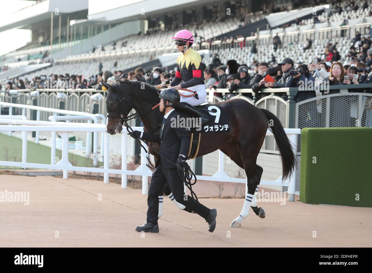 2026/01/05 KYOTO 11R MANYO STAKES 2 / 3 / Volante / Seinosuke Yoshimura ...