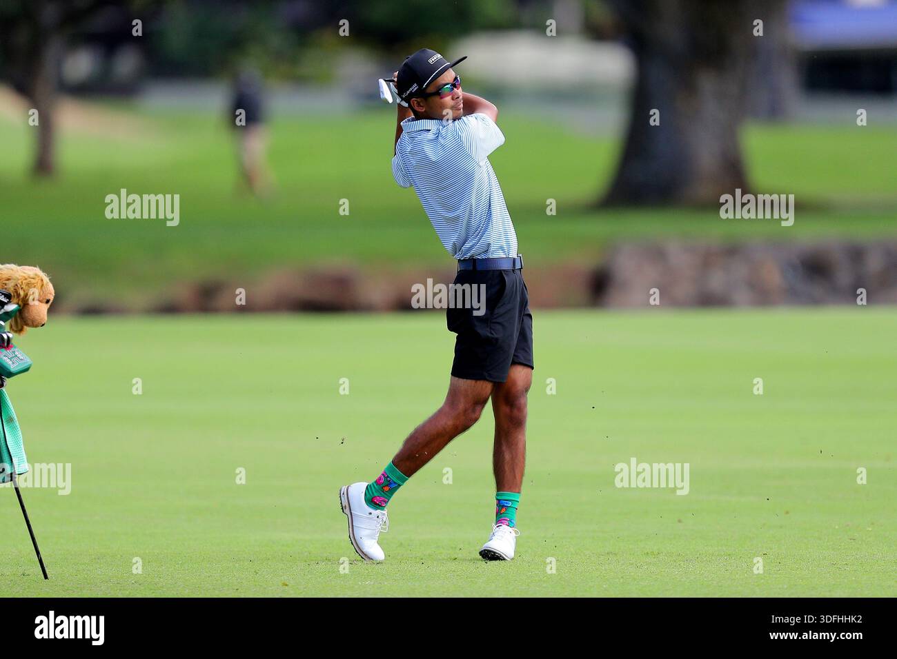January 12, 2026 - Anson Cabello hits from the 8th fairway during a ...