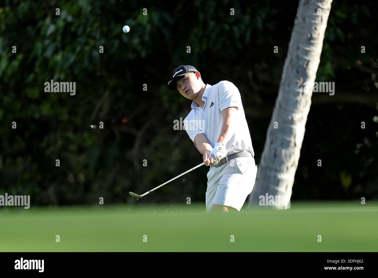 January 12, 2026 - Collin Morikawa hits from the 8th green during a ...
