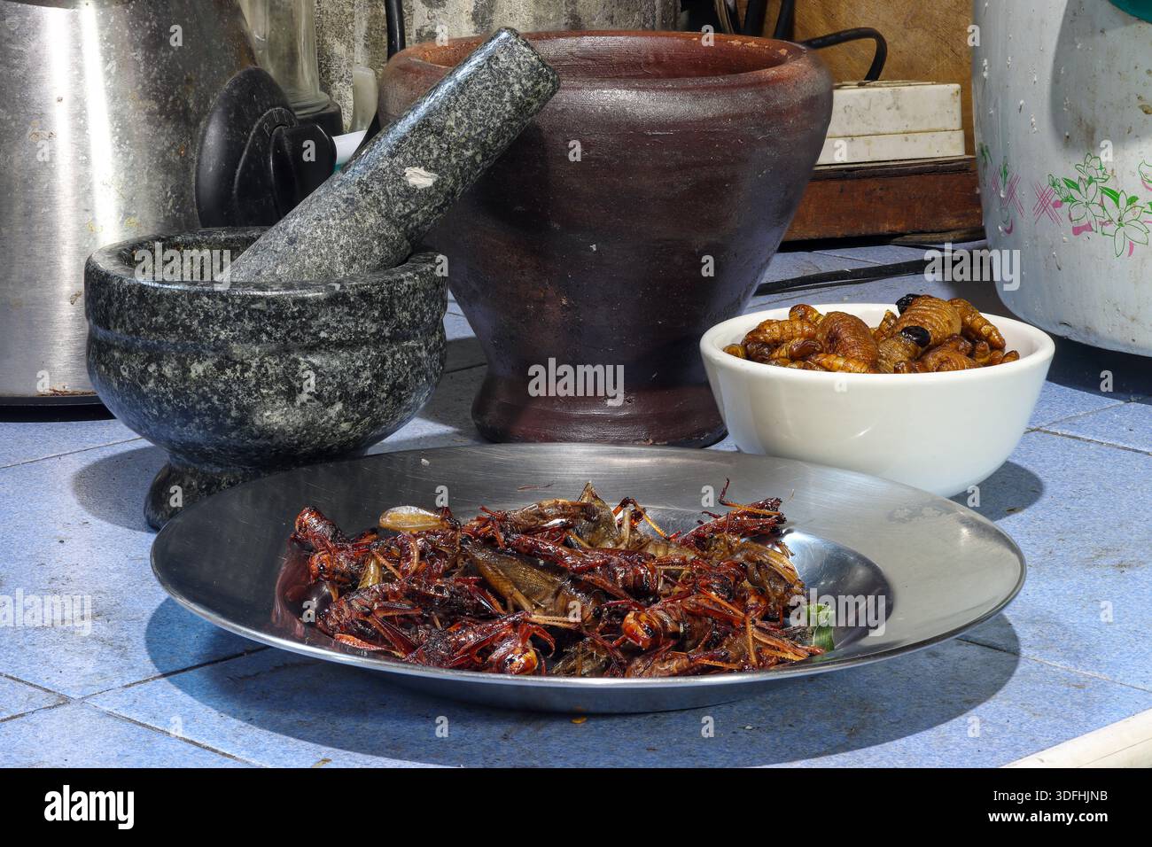 A rustic unkempt kitchen with a plate of full fried insects, a white ...