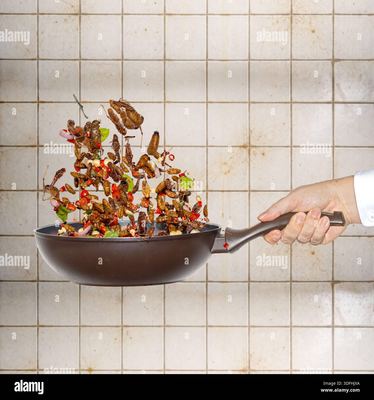 A chef fry insects with ingredients on a pan, against wall of a dirty ...