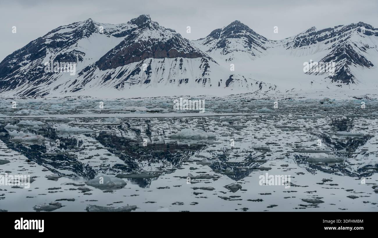 Packed sea ice with snowy mountain landscape in the background in ...