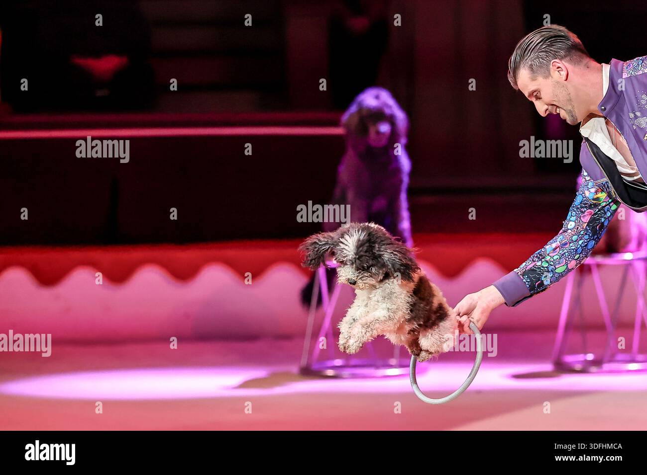 Budapest, Hungary. 12th Jan, 2026. An artist performs during the gala ...