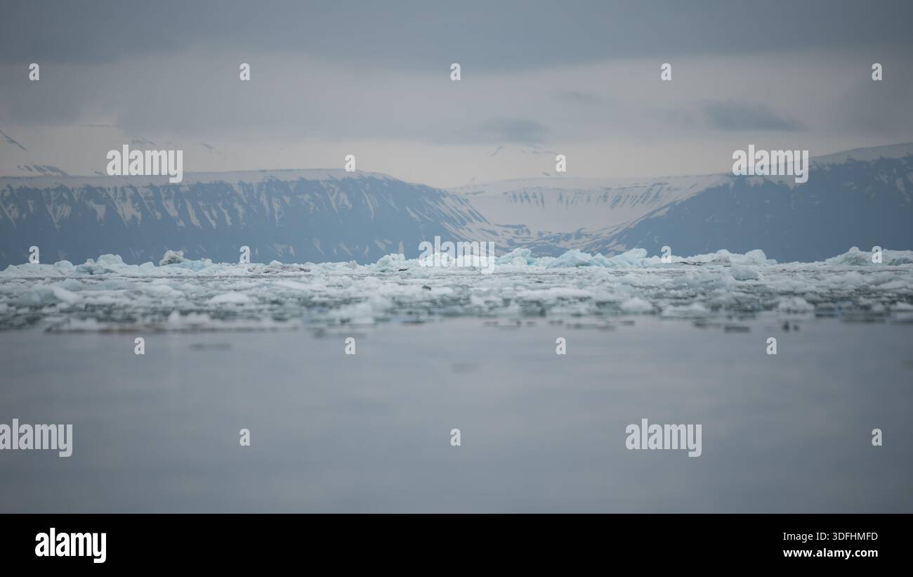Packed sea ice with snowy mountain landscape in the background in ...